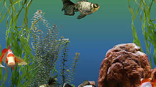 Goldfish Aquarium 2.0 - MacGameStore