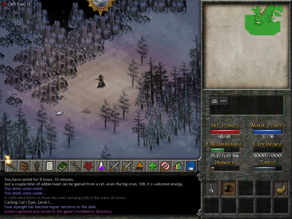 Eschalon: Book II | macgamestore.com