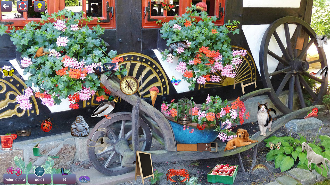 Hidden Pairs: Green Planet - MacGameStore