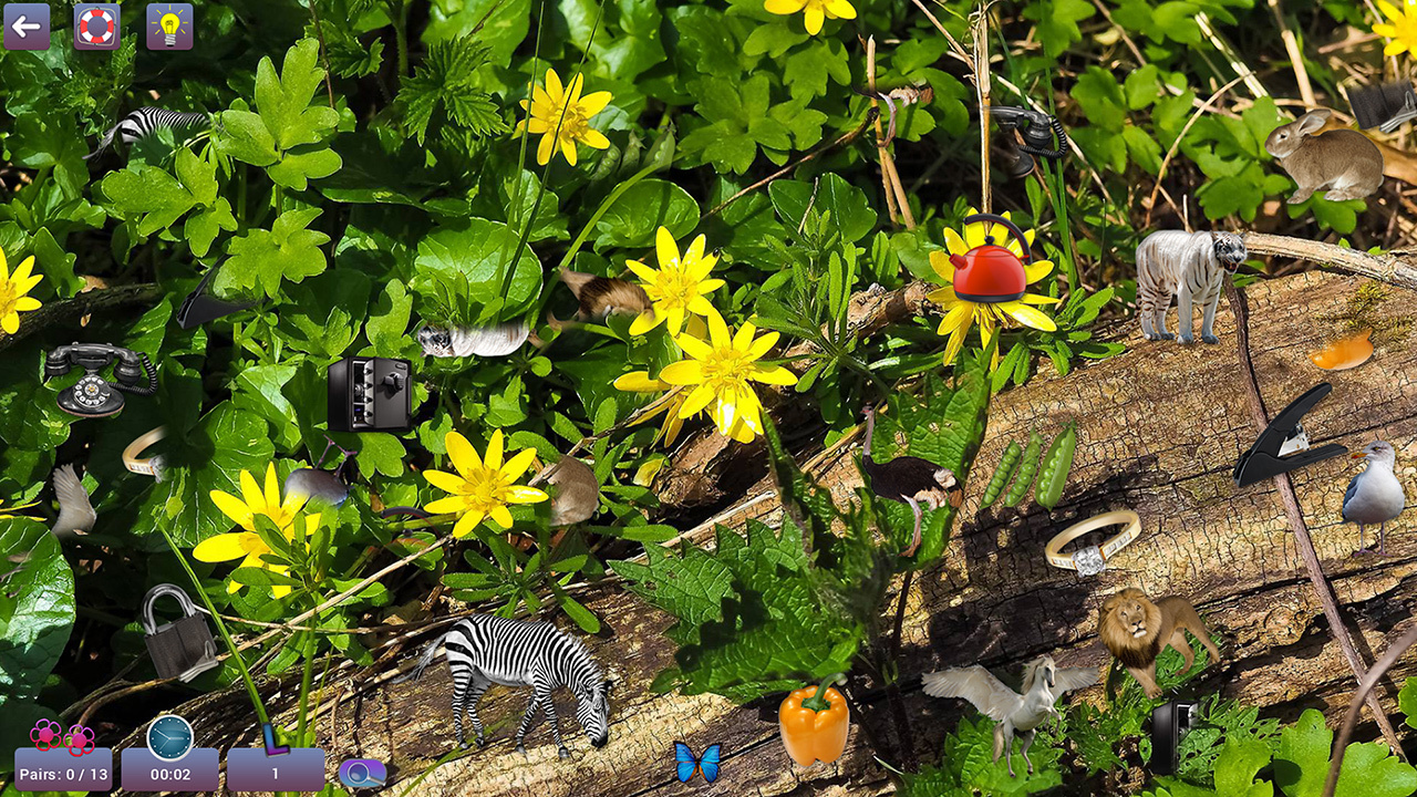 Hidden Pairs: Green Planet - MacGameStore