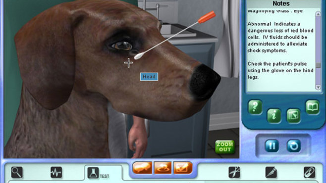 Pet Pals Animal Doctor | macgamestore.com