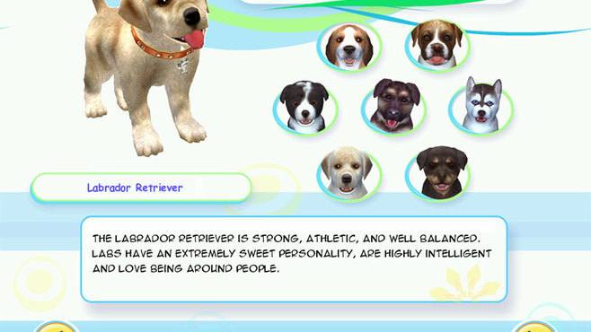 Petz Dogz 2 | macgamestore.com